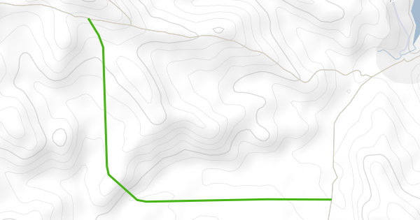 Cable Walk Track Hiking Trail - Eildon | Trailforks