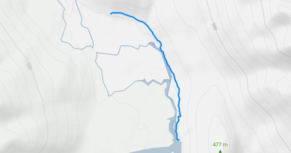 Resurrection River Trail Hiking Trail - Seward, Alaska