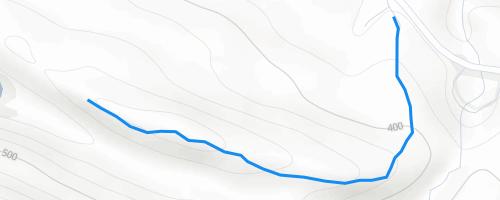 Liberty Falls Trail Hiking Trail - McCarthy, Alaska