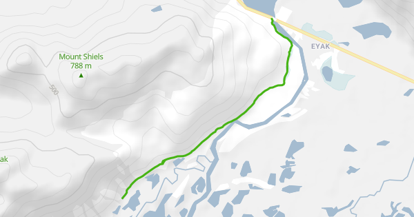 Eyak River Trail Hiking Trail - Cordova, AK | Trailforks