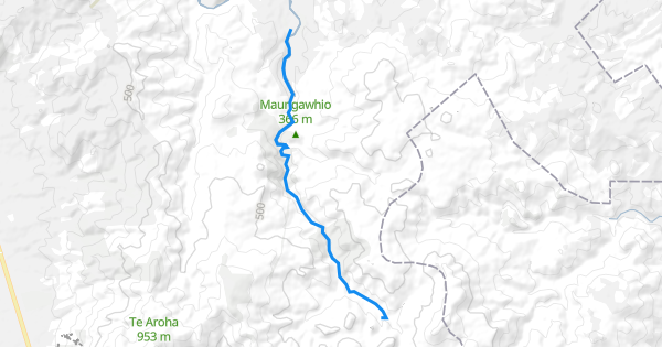 Waitawheta Tramway Hiking Trail - | Trailforks