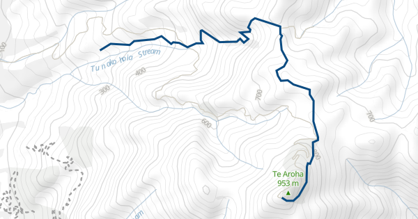 Tui Mine Track Hiking Trail - | Trailforks