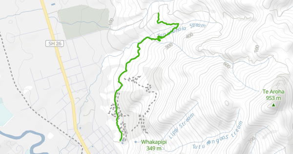 Tui Domain Track Hiking Trail - | Trailforks