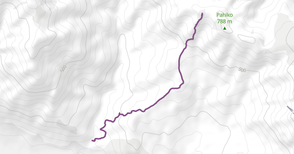 Pylon Peak Summit Loop Hiking Trail - Te Aroha