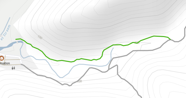 Catchpool Loop Hiking Trail - Lower Hutt | Trailforks