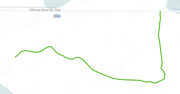 Old CCC Walking Trail Multi Trail - Thief River Falls