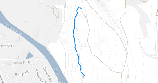 Ridge Race Track Multi Trail - Bonney Lake, Washington
