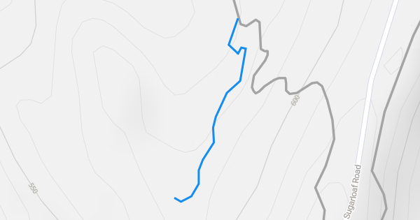 Clay Mine Trail Mountain Biking Trail - Ohiopyle, PA