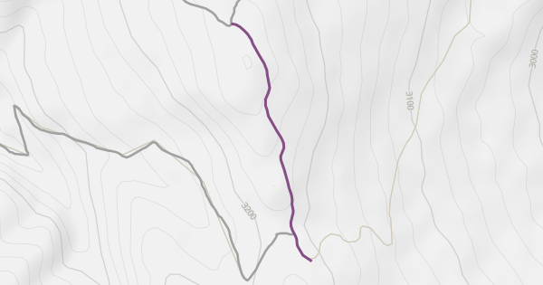 Osha Pass Connector Multi Trail - Taos, New Mexico