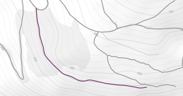 FSR Branch 3 Ext 1 Multi Trail - Roberts Creek, BC