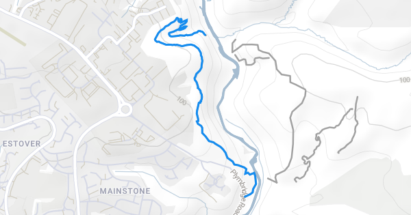 Plymbridge Woods Mountain Biking Trail - Plymouth