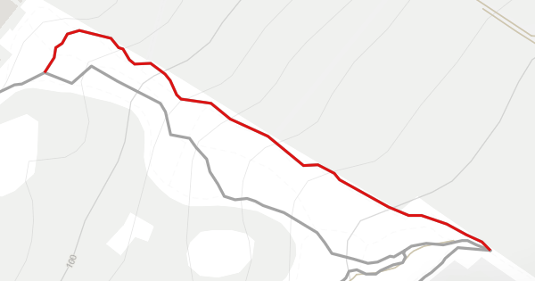 Carberry Side Line Mountain Biking Trail - Dalkeith