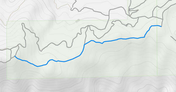 Clouds Mountain Biking Trail - Wenatchee, Washington