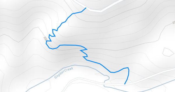 C2C Trail (Gopher Creek Trail Section) Multi Trail - Newport, OR