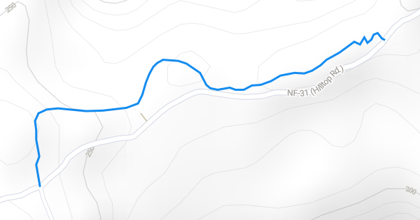 C2C Trail (Hogback Section) Multi Trail - Newport, OR