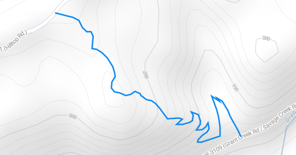 C2C Trail (Grant Creek Section) Multi Trail - Newport, OR
