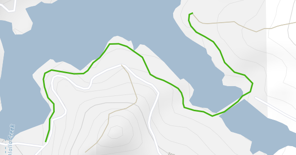 Olalla Reservoir Trail Multi Trail - Newport, OR
