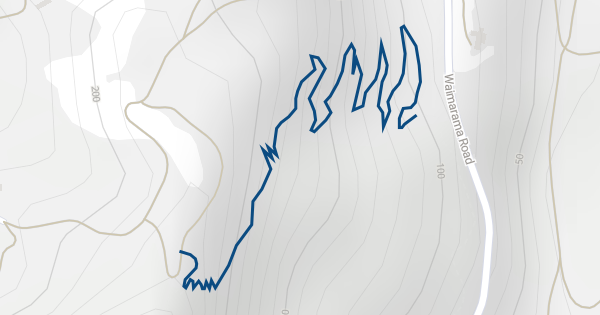 Lowe Track Mountain Biking Trail - | Trailforks
