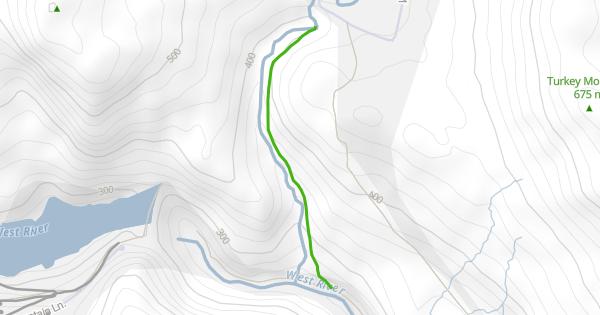 Hamilton Falls Trail Hiking Trail - Jamaica, Vermont