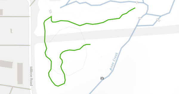 Aralia Trail Hiking Trail - Jacksonville, Florida