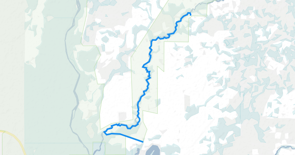 Aucilla River - Florida Trail Multi Trail - Crawfordville