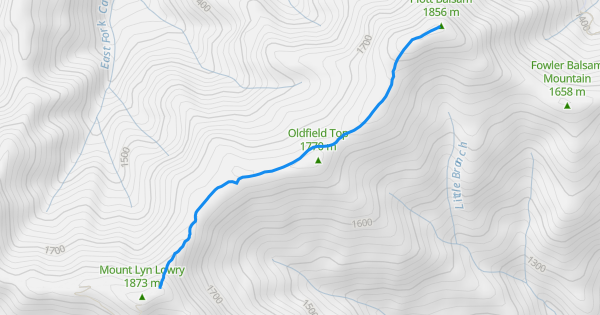 Plott Balsam Trail Hiking Trail - Maggie Valley, NC