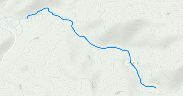 Rock Creek Falls Trail Hiking Trail - Erwin, TN