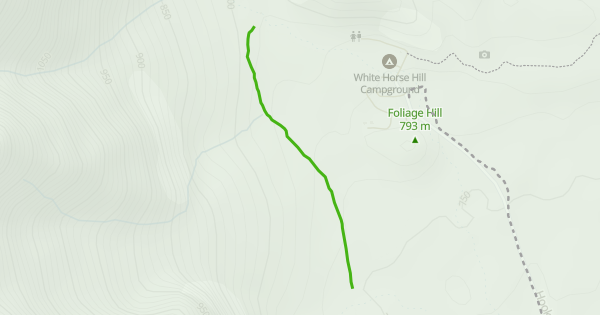 Kea Point Track Hiking Trail - | Trailforks