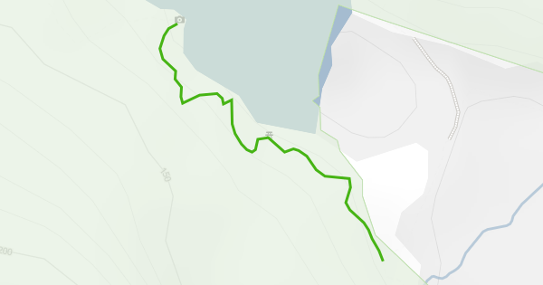 Lake Matheson Walk Hiking Trail - Mount Cook Village