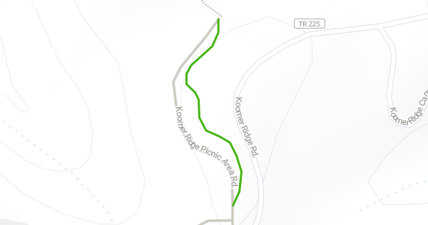 Koomer Ridge Trail Hiking Trail - Pine Ridge, Kentucky