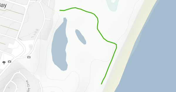 Milne Track Multi Trail - Byron Bay | Trailforks