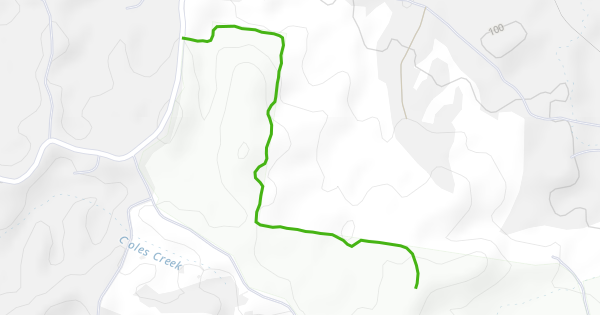 Perimeter Trail Multi Trail - Tewantin | Trailforks