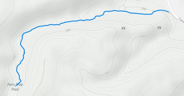 Fern Tree Pool Trail Hiking Trail - Bundaberg