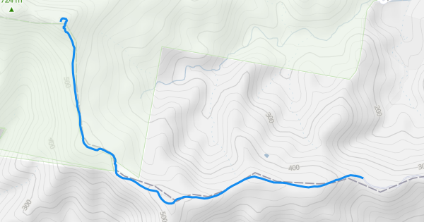 Cougal Trail Hiking Trail - Springbrook | Trailforks