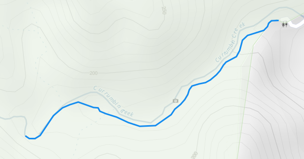 Cougal Cascades Trail Hiking Trail - Springbrook