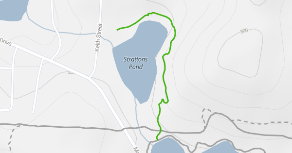 Stratton's Pond Trail Hiking Trail - Corner Brook, NL