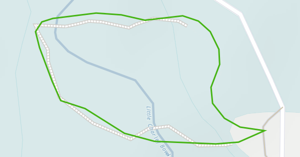 Cypress Swamp Trail Multi Trail - Sebring, Florida