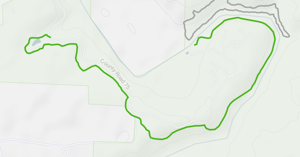 CCC Camp Trail Hiking Trail - Tishomingo, Mississippi