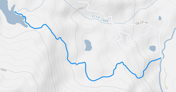 Fish Creek Reservoir Trail Hiking Trail - Ridgway, CO