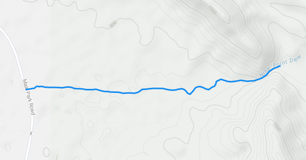 Dogs Canyon Trail Hiking Trail - Terlingua, Texas