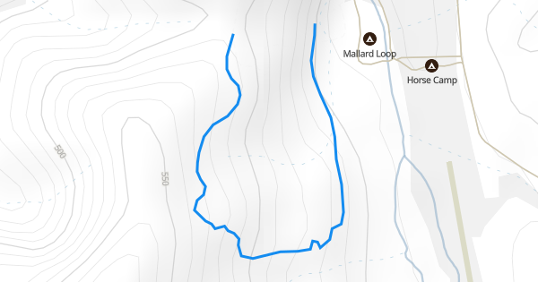 Rose Ranch Trail Hiking Trail - Cave Junction, Oregon
