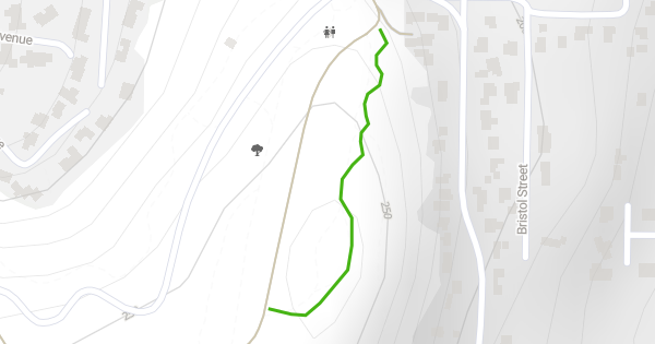Gent's Trail Hiking Trail - Eugene, Oregon | Trailforks