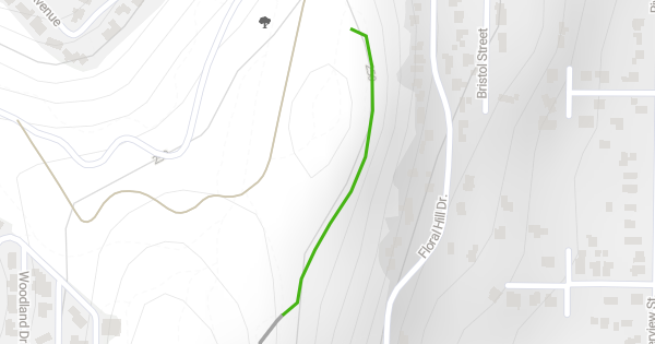 Old Fire Break Trail Hiking Trail - Eugene, Oregon