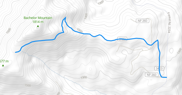 Bugaboo Ridge Trail Hiking Trail - Sweet Home, Oregon
