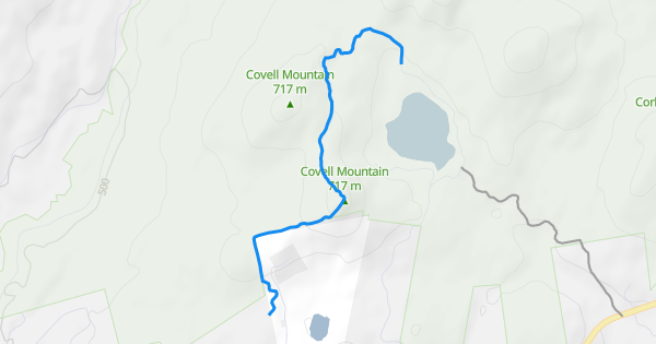 Covell Mountain Trail Hiking Trail - Pittsburg, NH