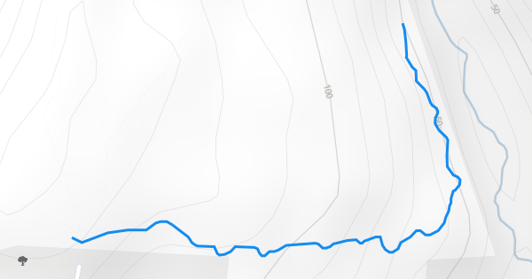 Crown Loop Multi Trail - Nanaimo, British Columbia