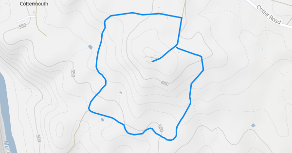 Riverview Walk Loop Hiking Trail - Canberra | Trailforks