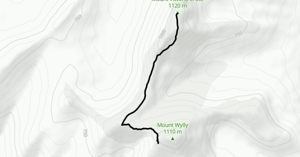 Mount Victoria Cross Summit Trail Hiking Trail - Maydena