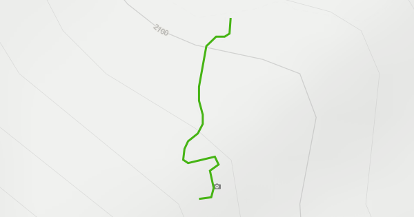 Forrest Allen Overlook Trail Hiking Trail - Colorado Springs