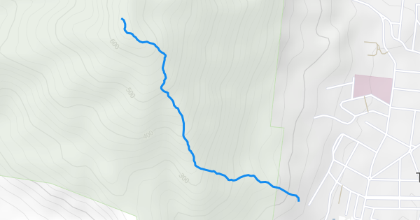 Mt Tyson Track Hiking Trail - | Trailforks